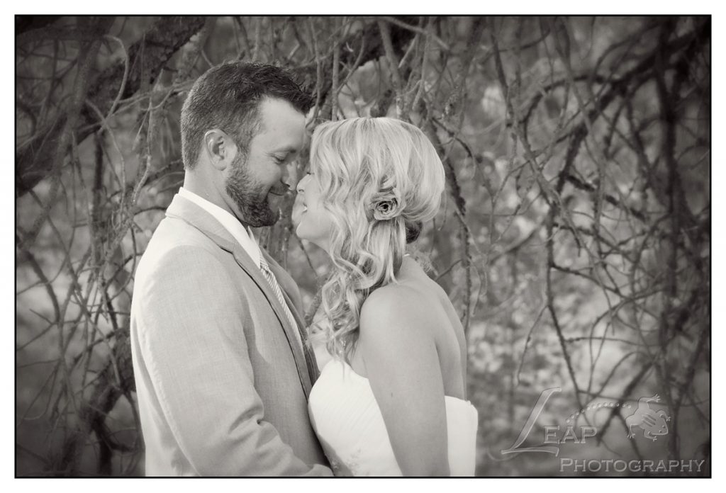 Lazy R Ranch Wedding: Ashley & Andrew | Idaho Wedding Photography ...